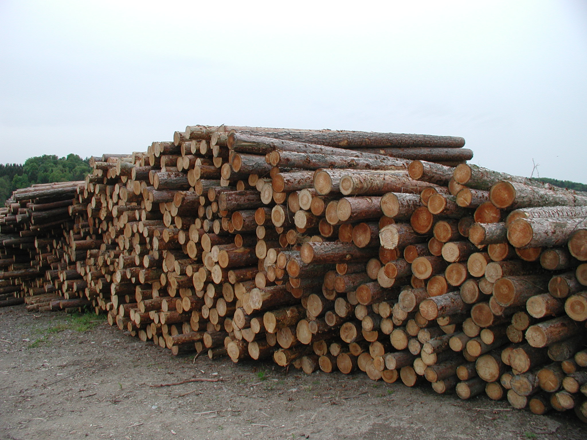 Rundholz – Holz-Heckele